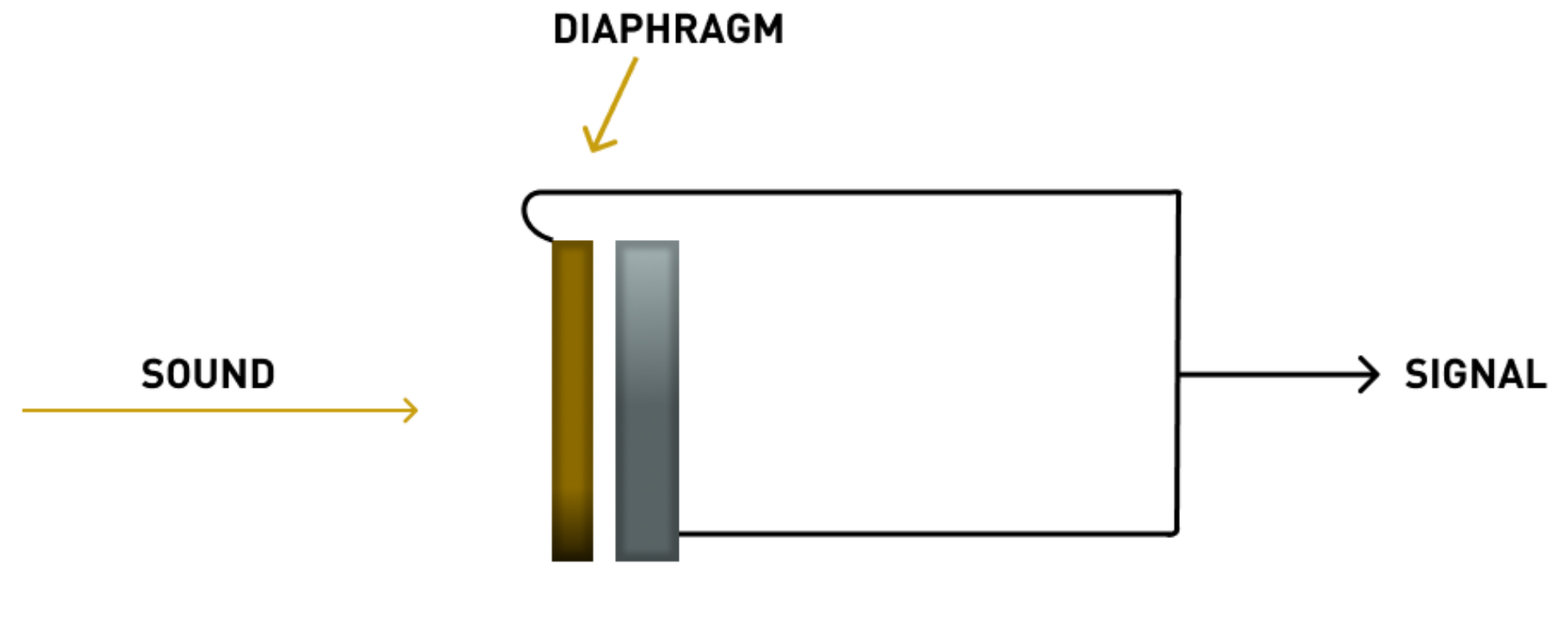 A Beginners' Guide to Microphones - ADAM Audio Blog