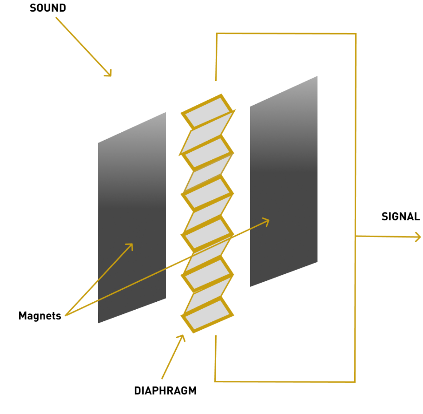 A Beginners' Guide to Microphones - ADAM Audio Blog